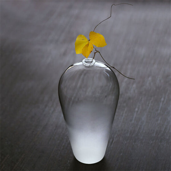 Zen Glass Hydroponic Vase - Minimalist Japanese Design for Mindful ...