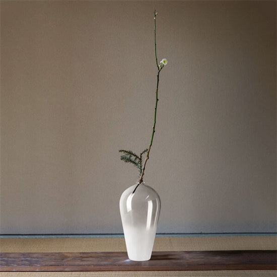 Zen Glass Hydroponic Vase - Minimalist Japanese Design for Mindful ...