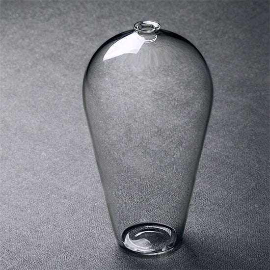 Zen Glass Hydroponic Vase - Minimalist Japanese Design for Mindful ...