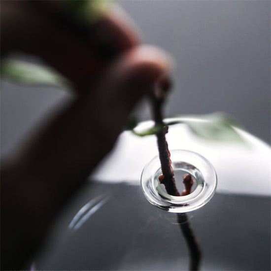 Zen Glass Hydroponic Vase - Minimalist Japanese Design for Mindful ...
