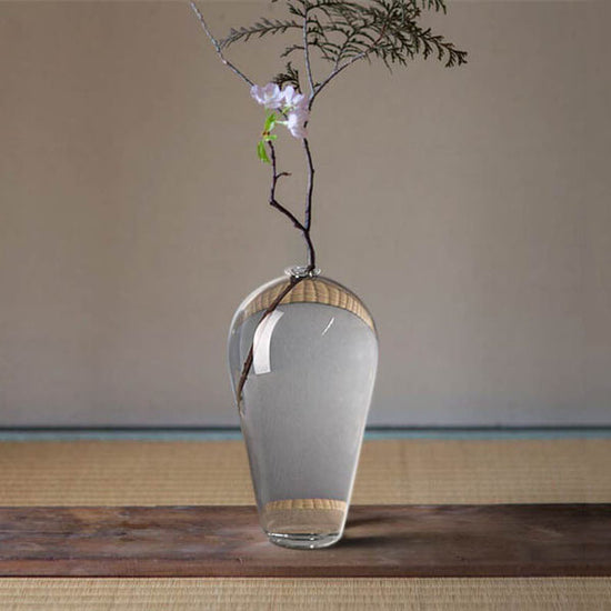 Zen Glass Hydroponic Vase - Minimalist Japanese Design for Mindful ...